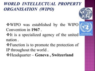 Intellectual property rights | PPTX