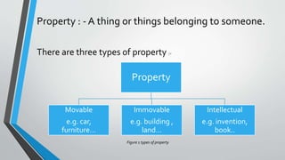 Intellectual property rights | PPTX