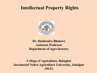 Intellectual property rights | PPTX