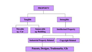 INTELLECTUAL PROPERTY RIGHTS.pptx
