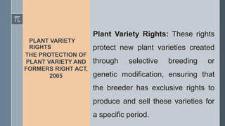 Intellectual Property Rights.pptx