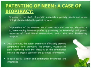 Intellectual property rights neem | PPTX
