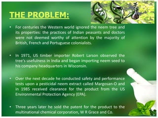 Intellectual property rights neem | PPTX