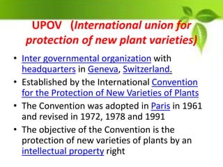 Intellectual property rights(ipr) | PPTX
