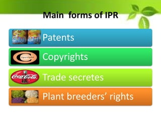 Intellectual property rights(ipr) | PPTX