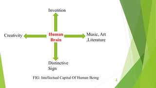Intellectual Property Rights | PPTX