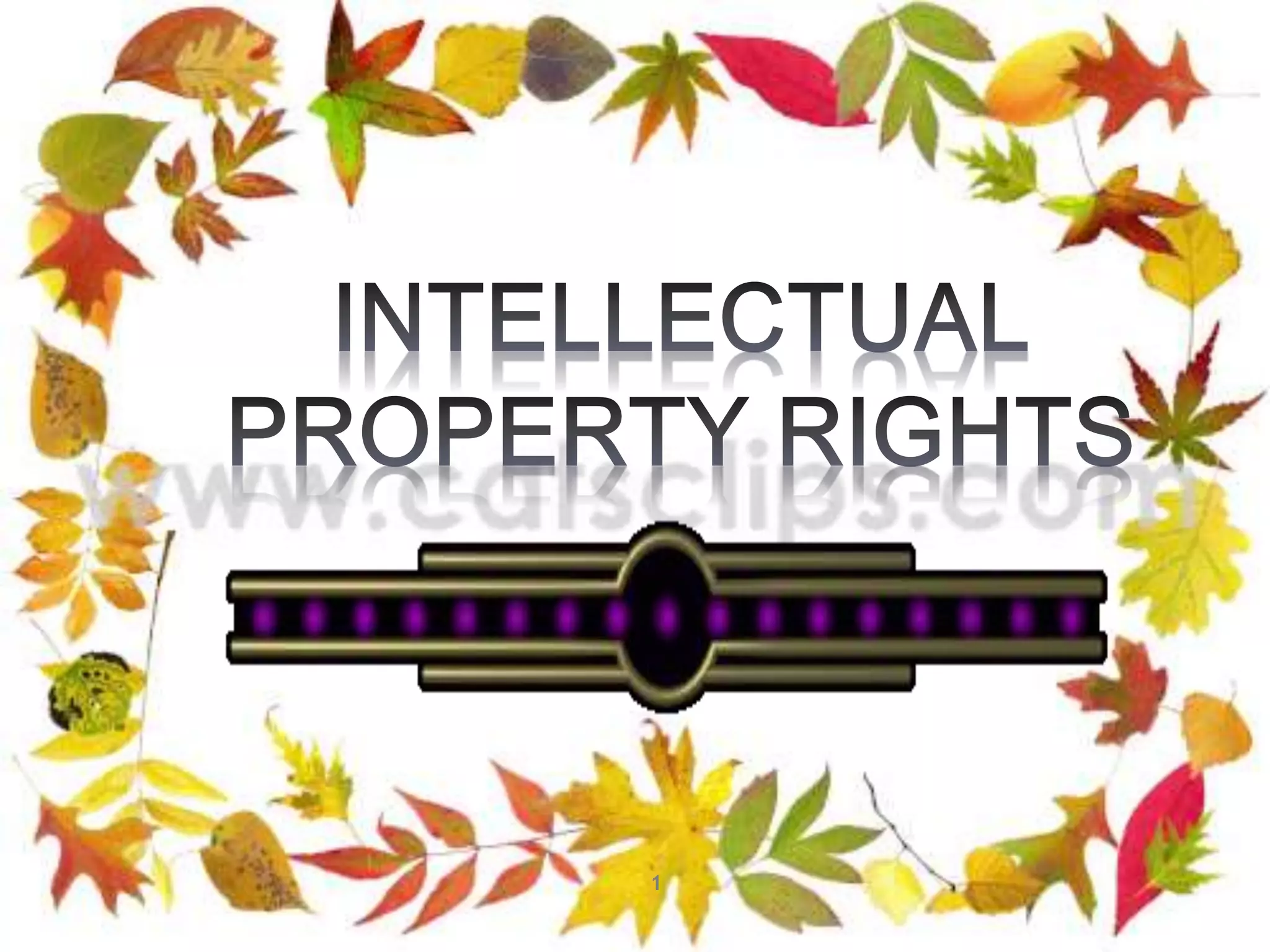 Intellectual property rights | PPTX