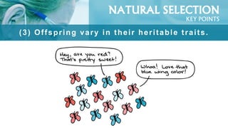 DARWINIAN THEORY | PDF