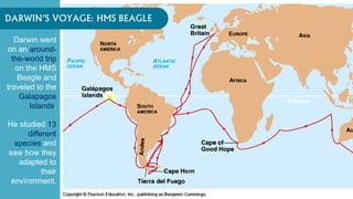 DARWINIAN THEORY | PDF | Genetics | Science