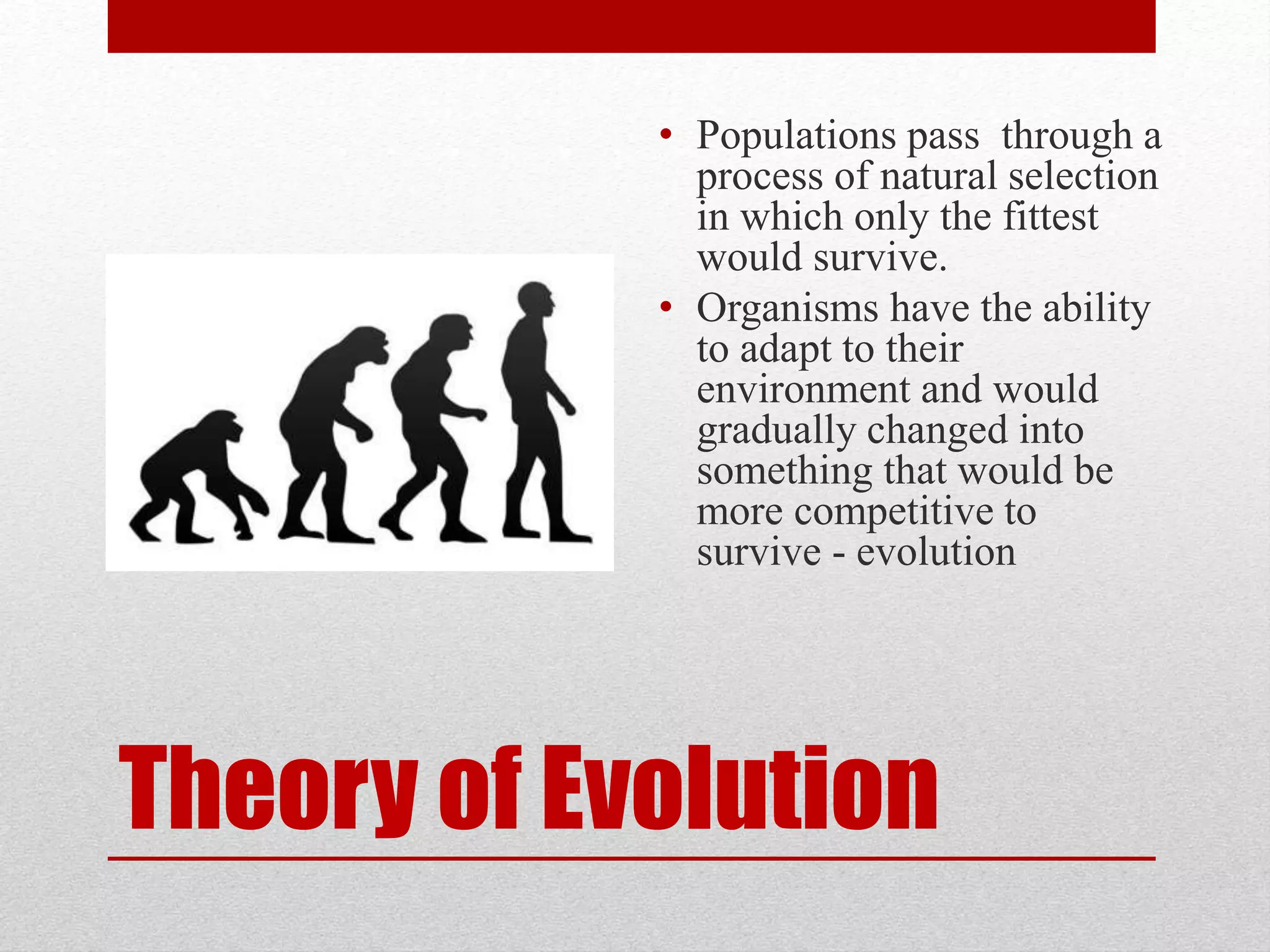 Intellectual Revolutions | PPTX