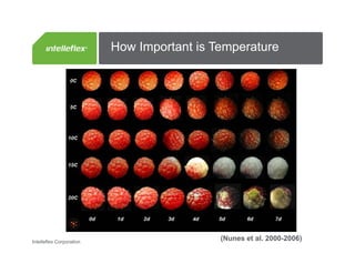 Thomas Reese, Sr. Director, Business Development, Intelleflex Corp. | PDF