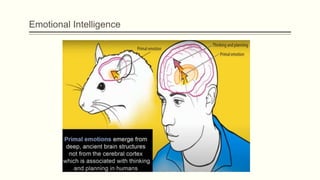 Intelligence creativity and flow.pptx