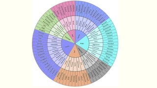 Intelligence creativity and flow.pptx