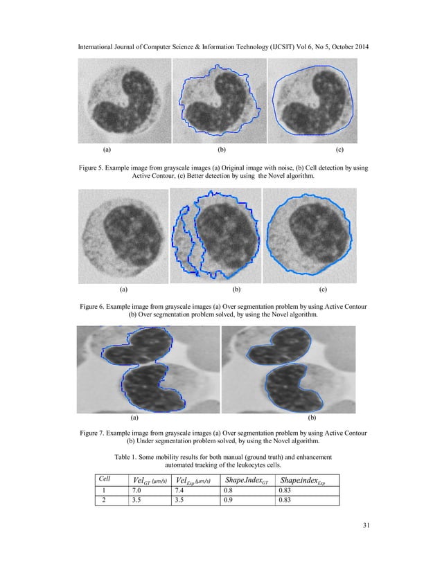 Intelligent algorithms for cell tracking and image segmentation | PDF