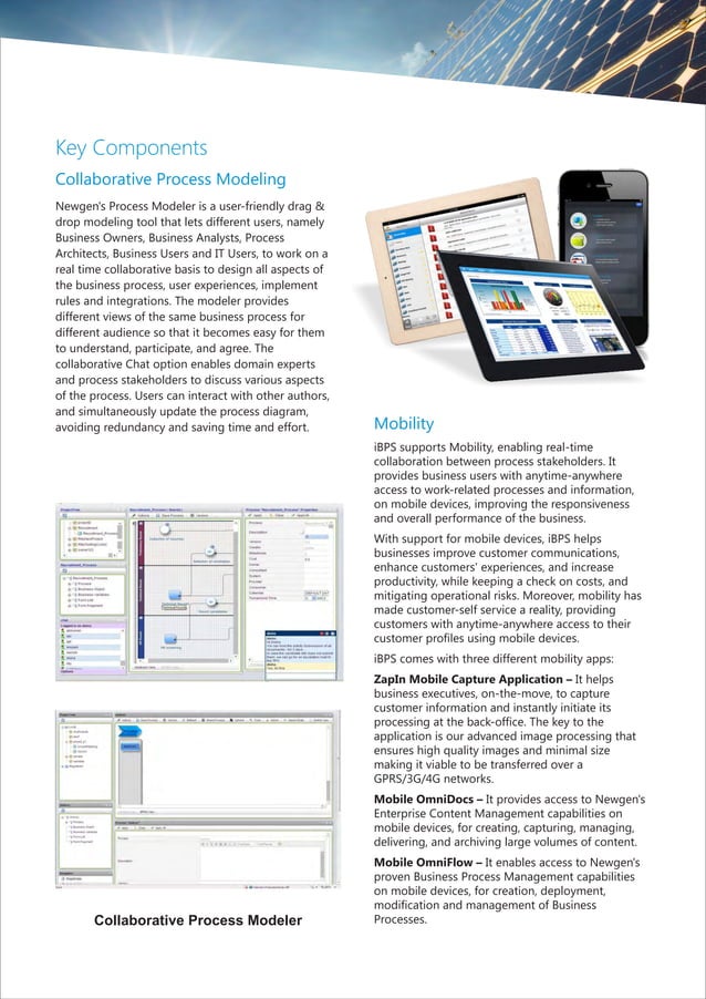 Intelligent Business Process Management | PDF