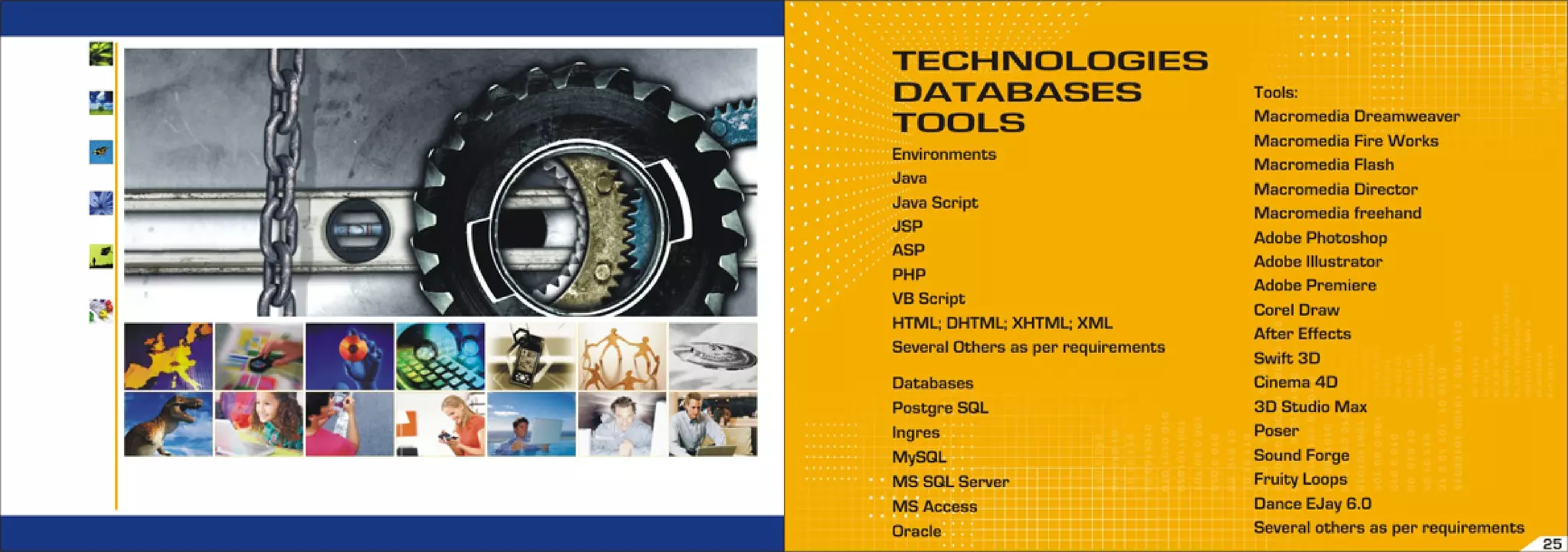 Intelligent software solution brochure | PPT