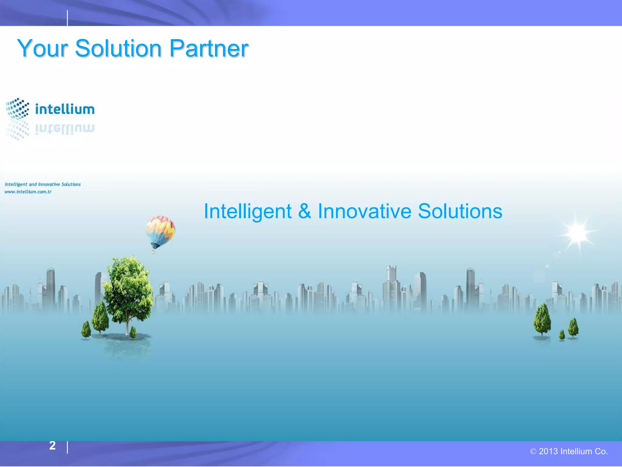 Intellium Company Brochure | PDF