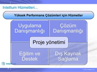 Intellium Şirket Belgesi | PDF