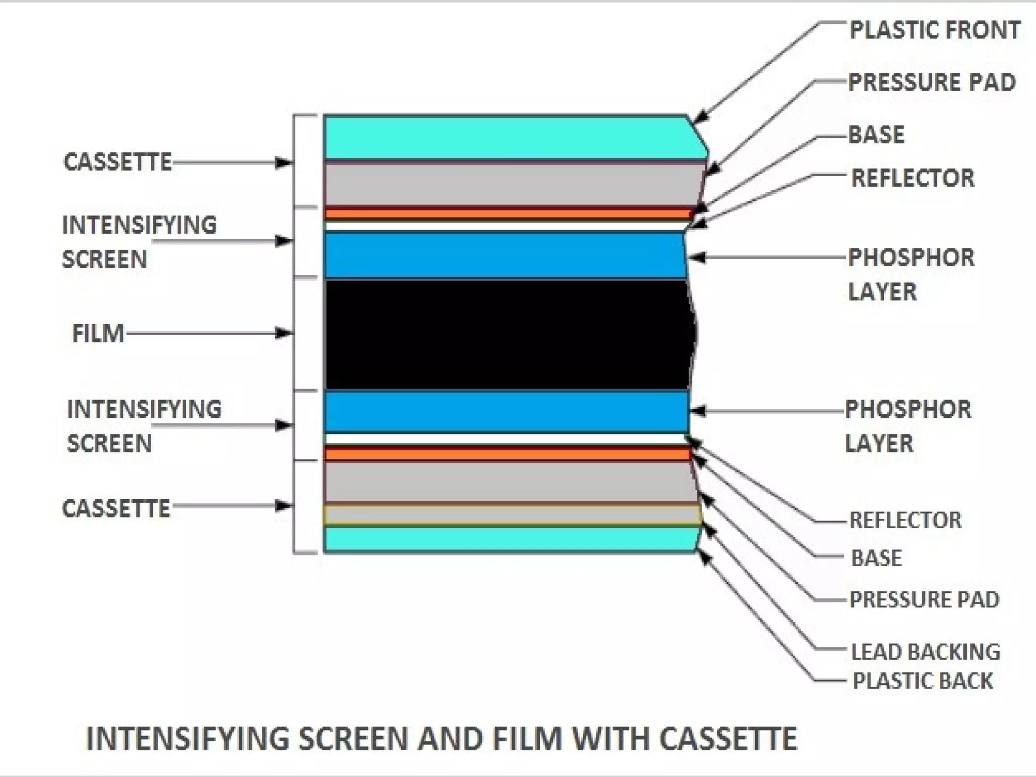 Intensifying screens & films | PPT