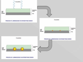 Intensifying screens & films | PPT