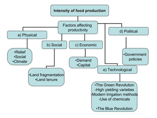 Intensity Of Food Production | PPT