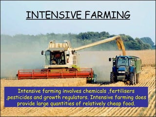 Intensive Farming | PPT