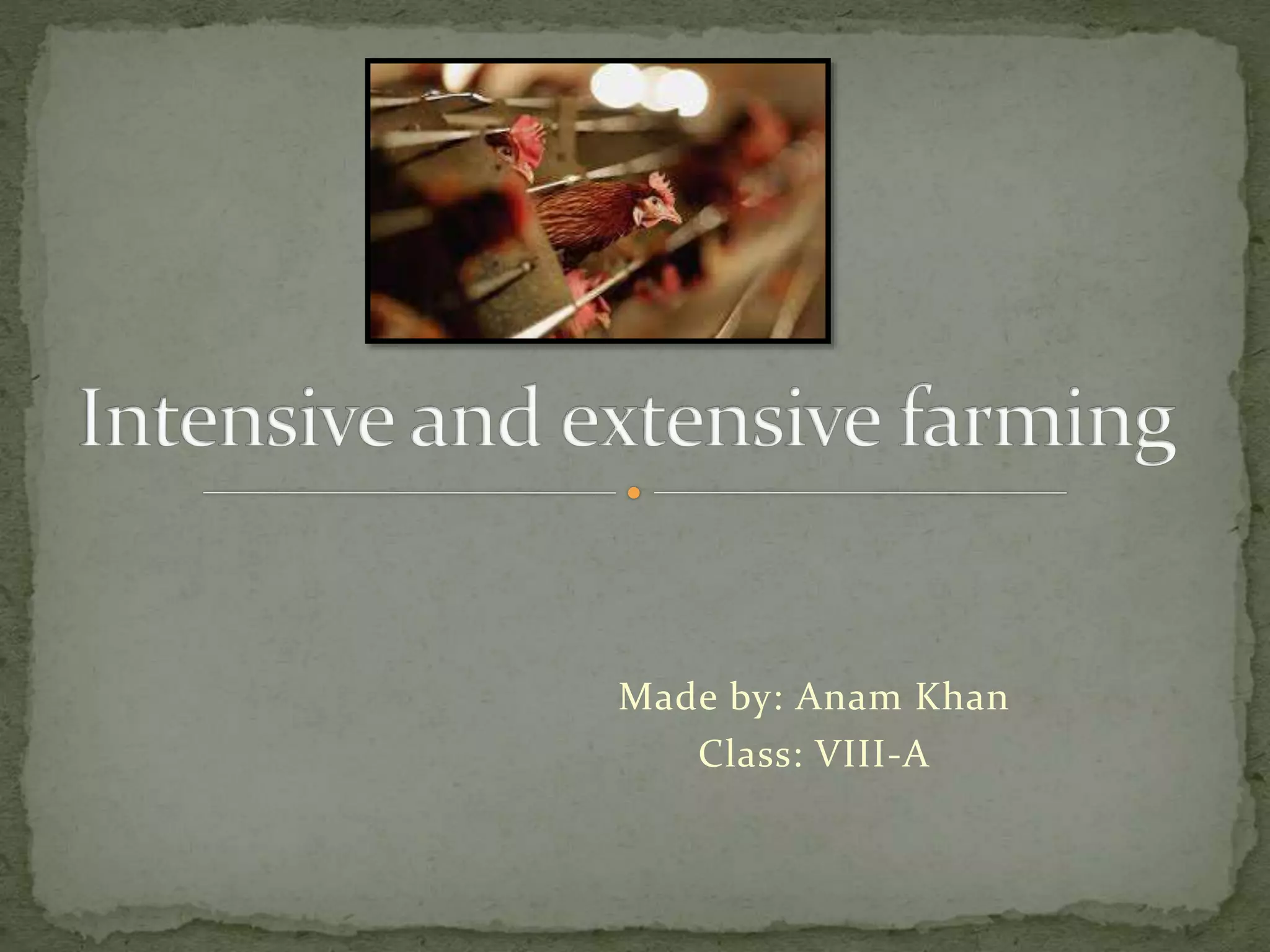 Intensive and extensive farming | PPTX