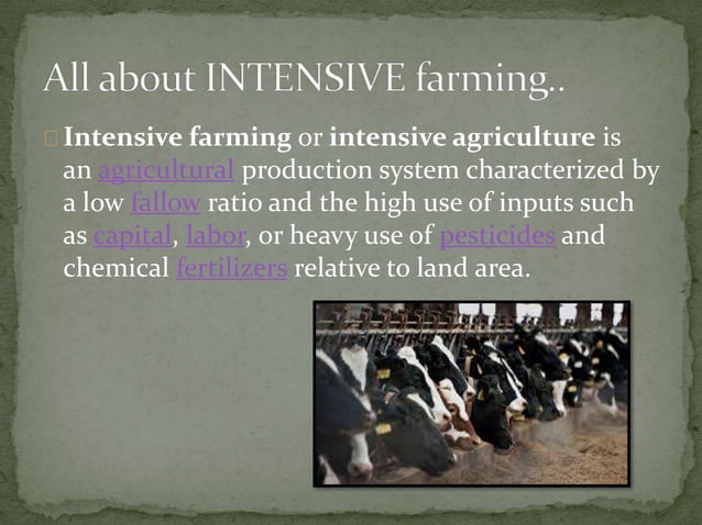 Intensive and extensive farming | PPTX