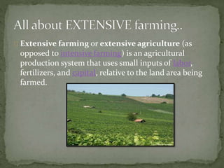 Intensive and extensive farming | PPTX