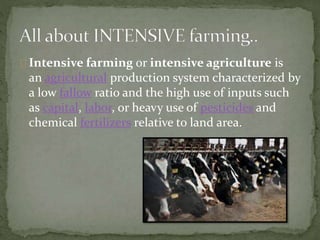 Extensive Farming Vs Intensive Farming
