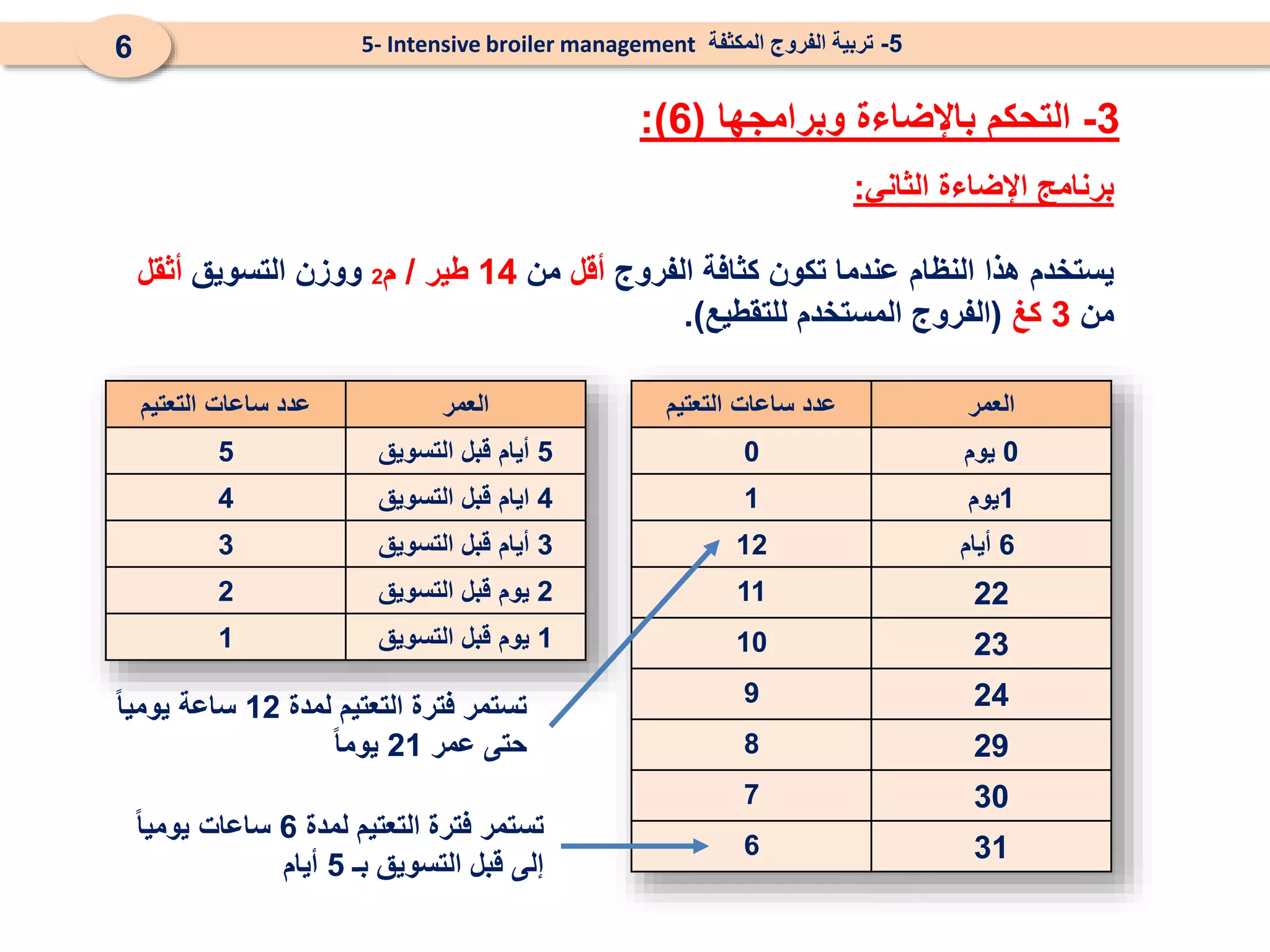5- Intensive broiler management (part 2) (التربية المكثفة للفروج (الجزء ...