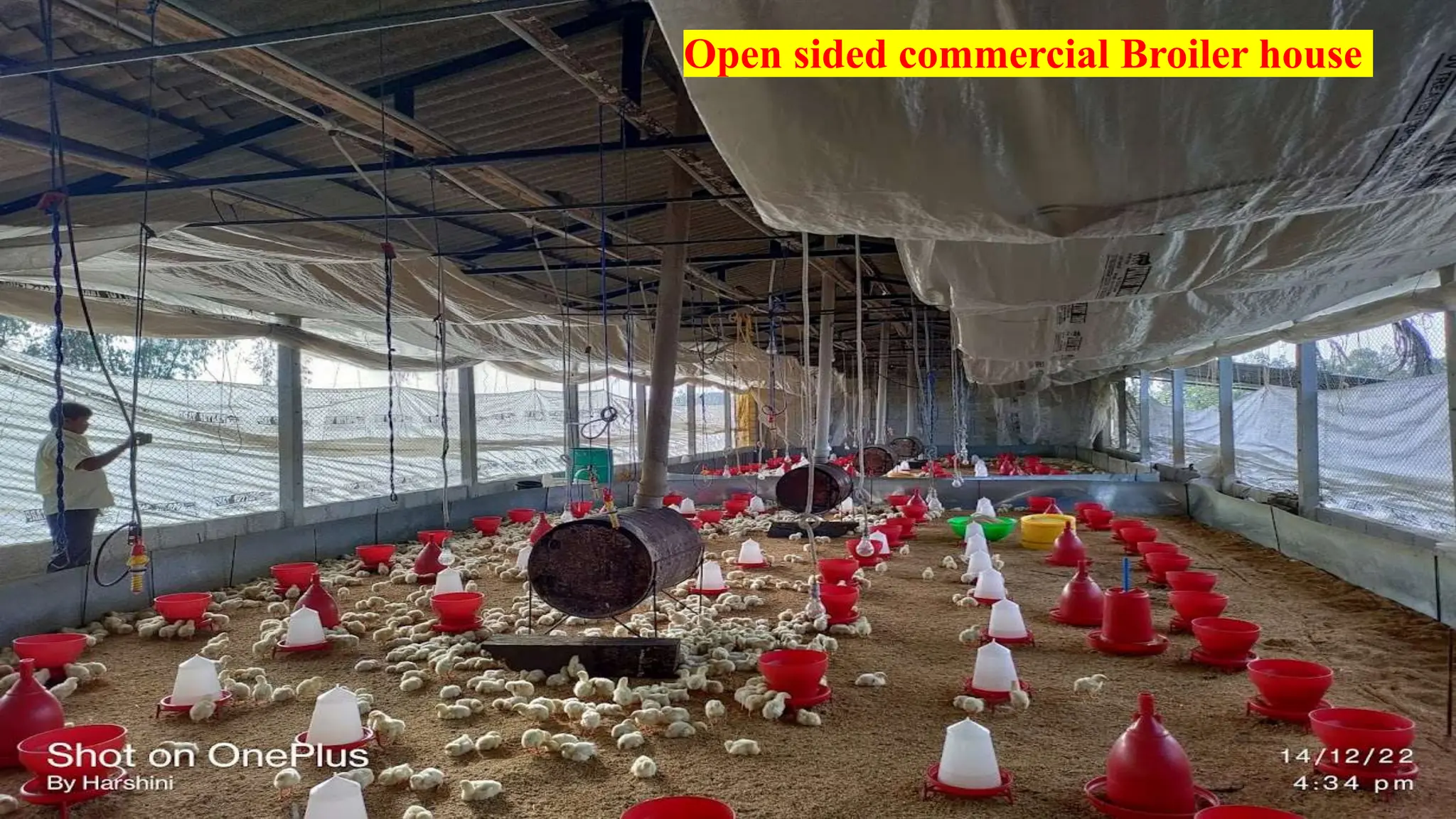 Intensive Housing systems for Poultry.pptx