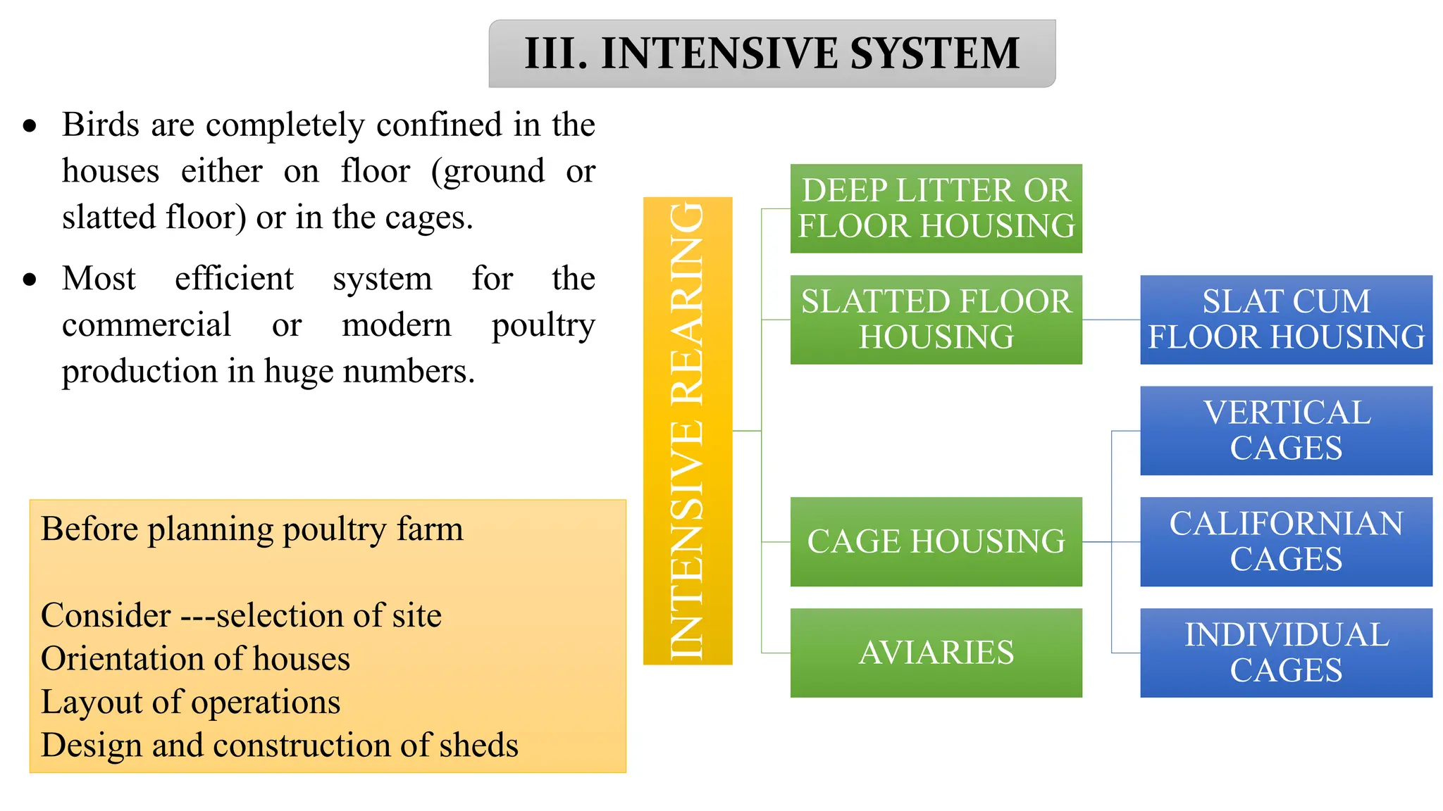 Intensive Housing systems for Poultry.pptx