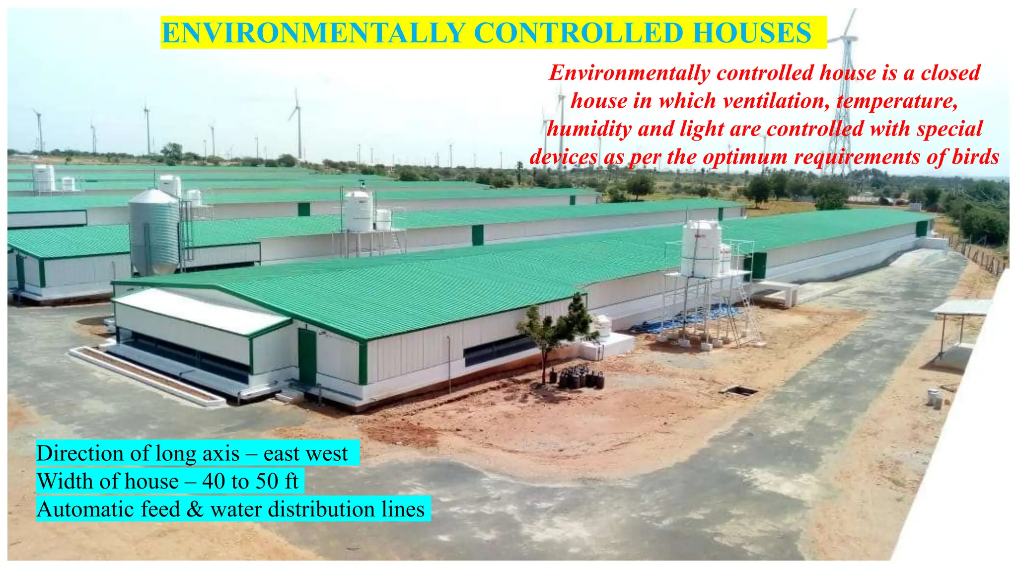 Intensive Housing systems for Poultry.pptx