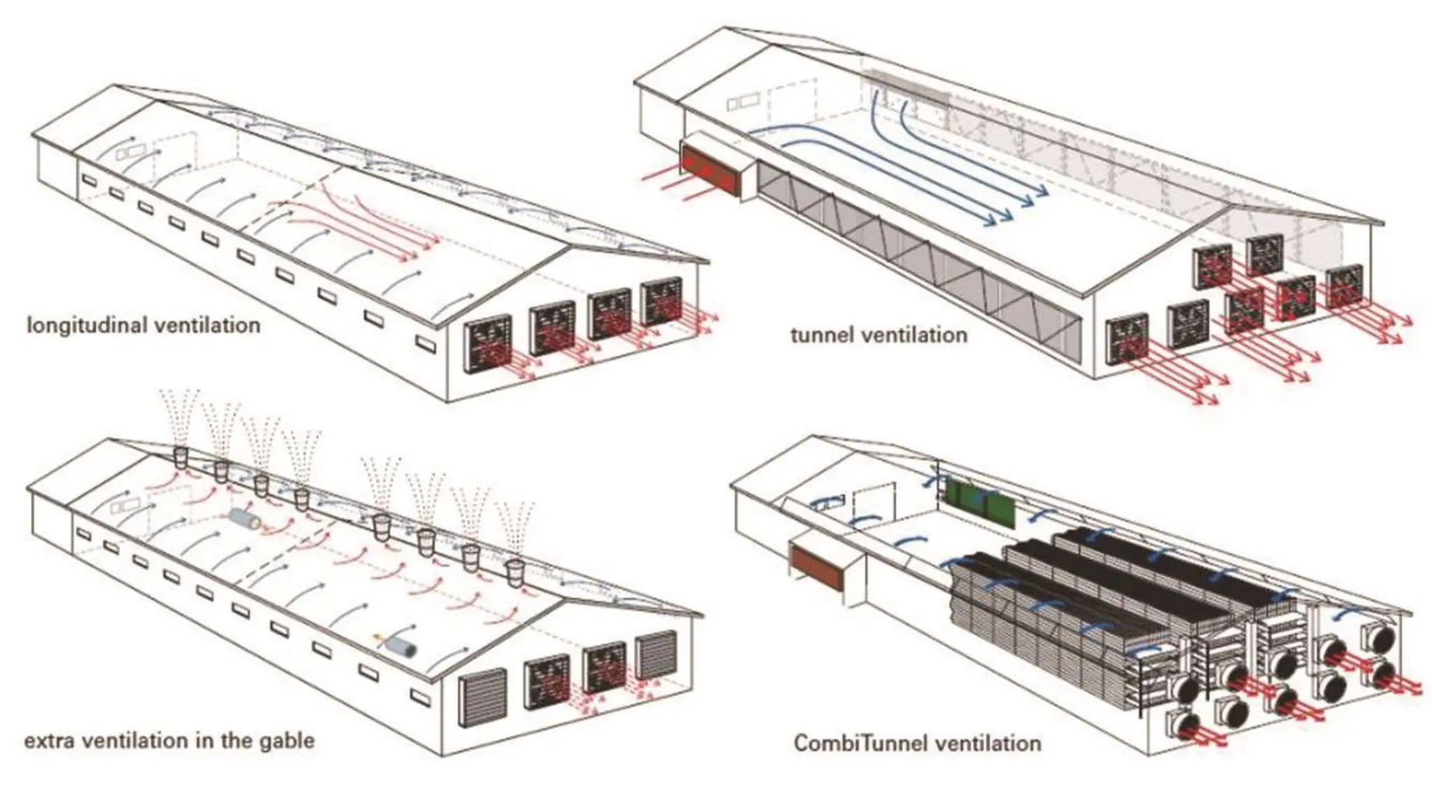 Intensive Housing systems for Poultry.pptx