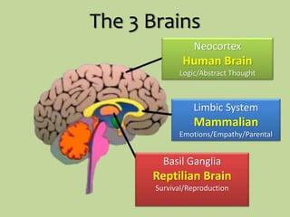 Intentional Leadership - The Neuroscience of Leadership | PPTX