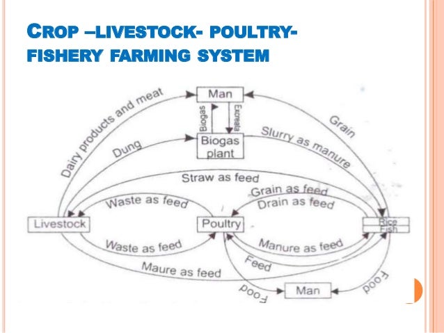 Inter relationship of crop and animal production systems
