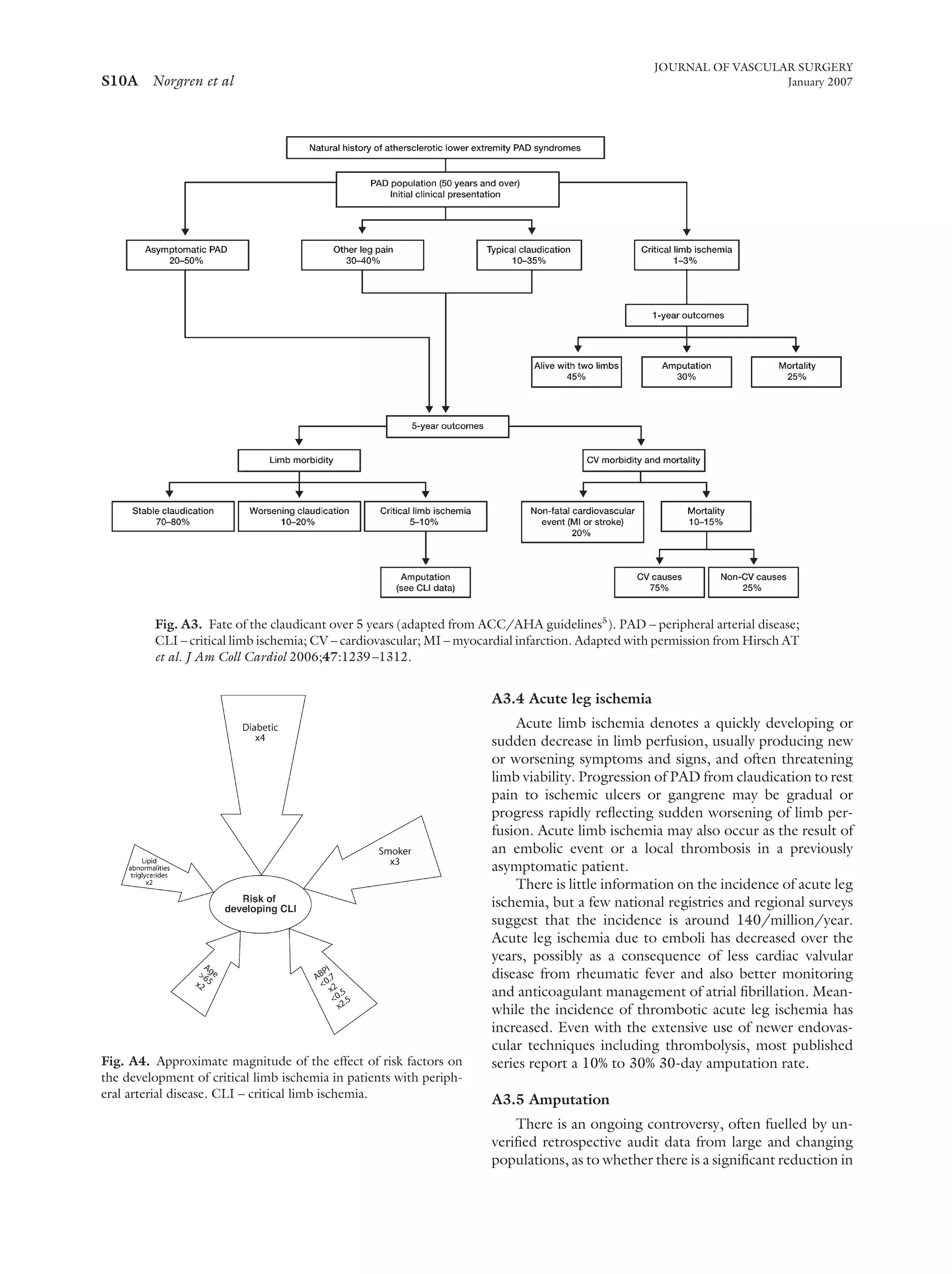 Inter society consensus for the management of peripheral arterial ...