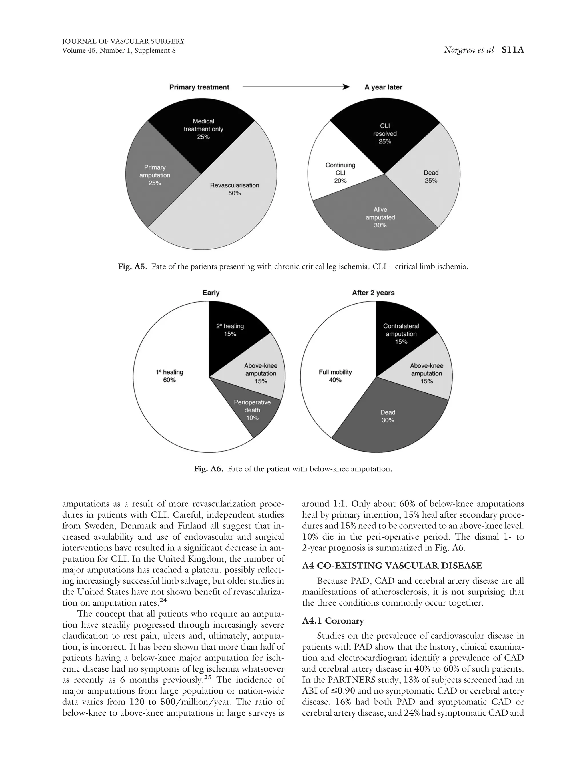 Inter society consensus for the management of peripheral arterial ...