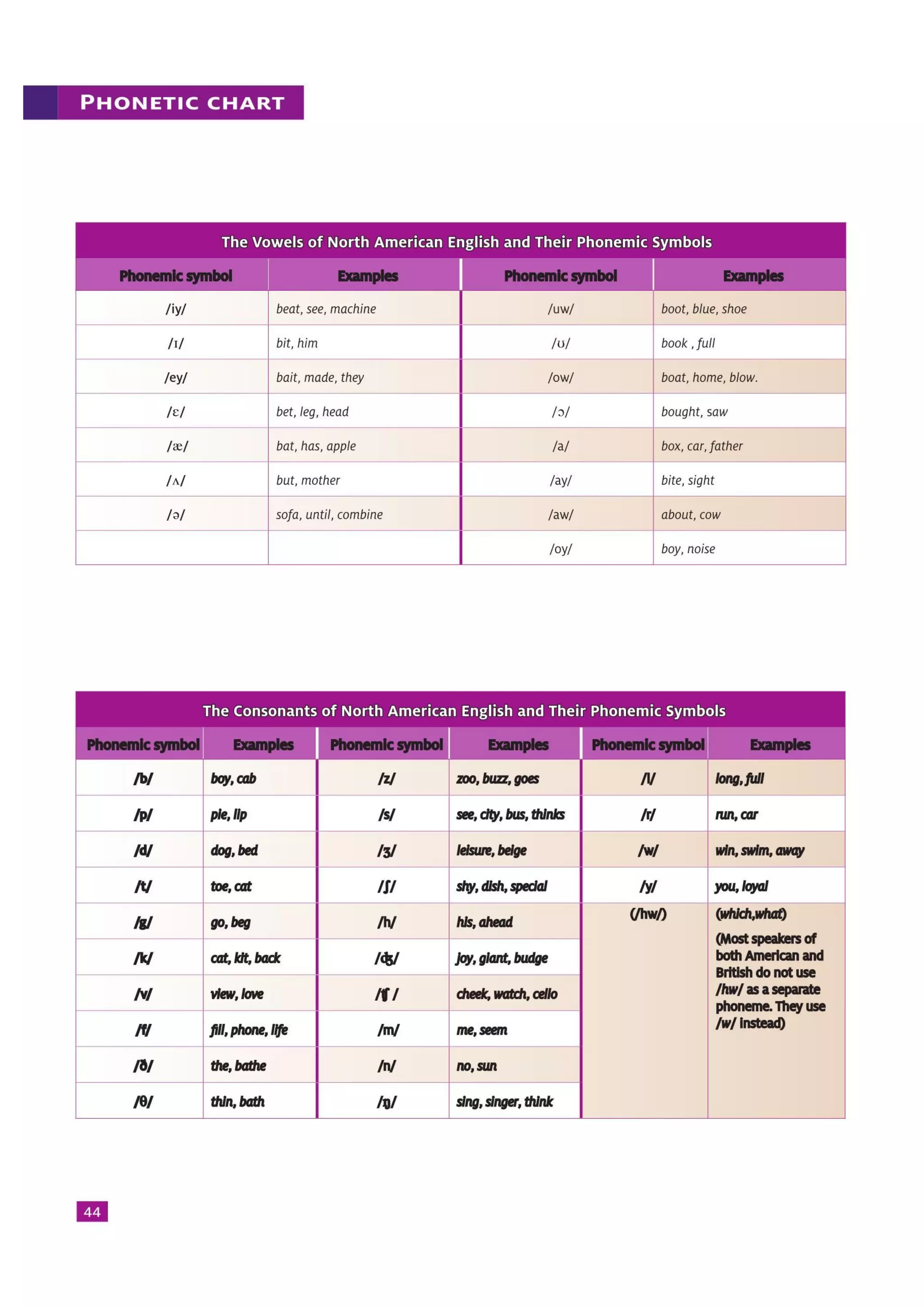 Libro Intermedio 10 | PDF