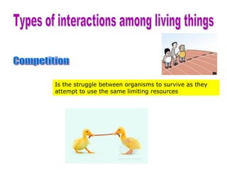 Interaction among living things | PPT
