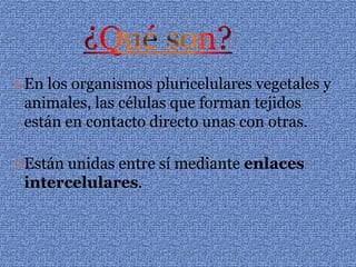 Interacción célula -célula | PPTX | Biological Sciences | Science