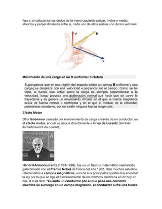 Interacción entre Campos Magnéticos | DOCX