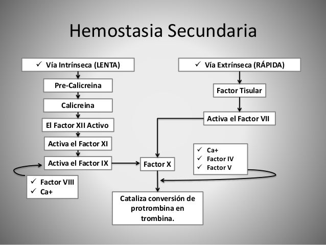 Interacción plaqueta endotelio