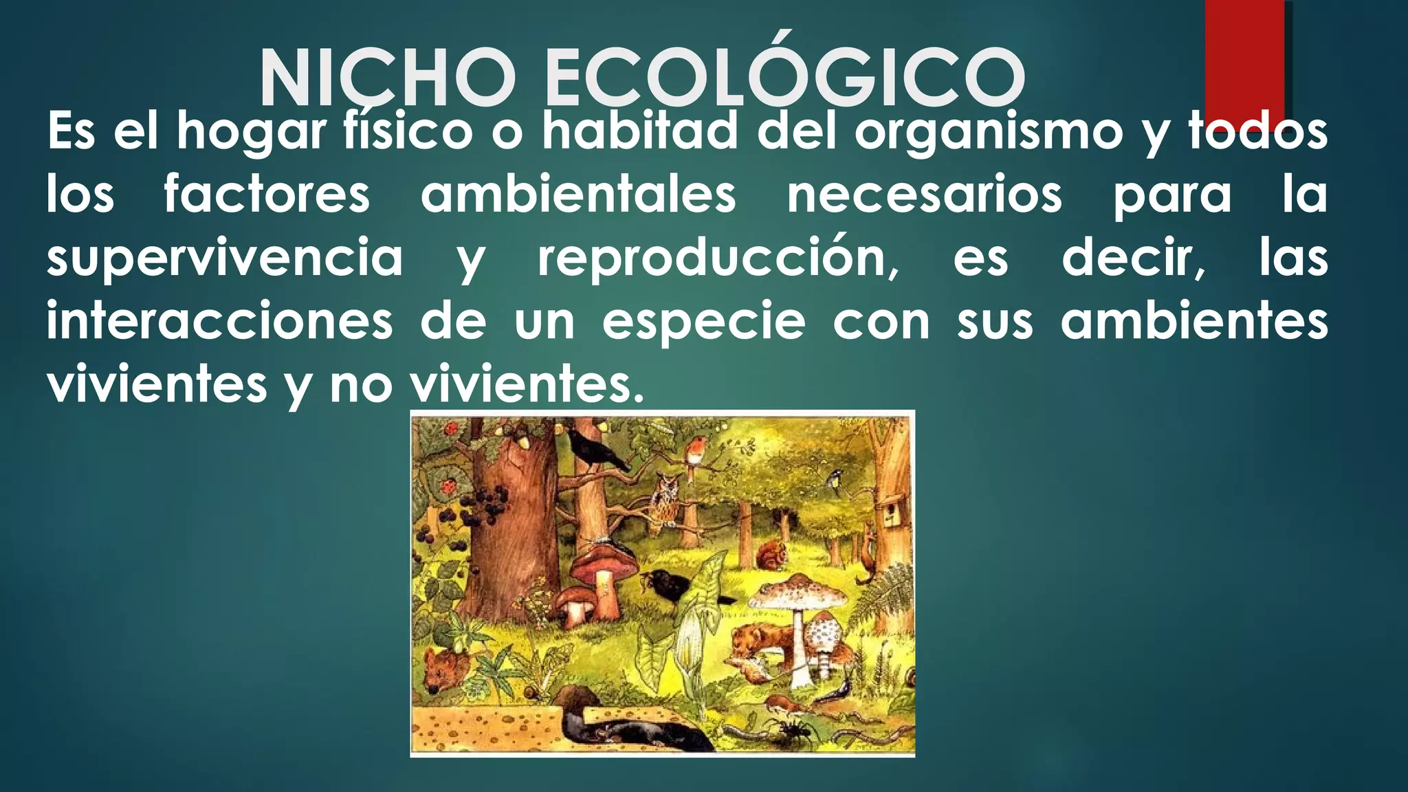 INTERACCIONES ECOLÓGICAS DE LOS SERES VIVOS. LicJ avier Cucaita | PPT