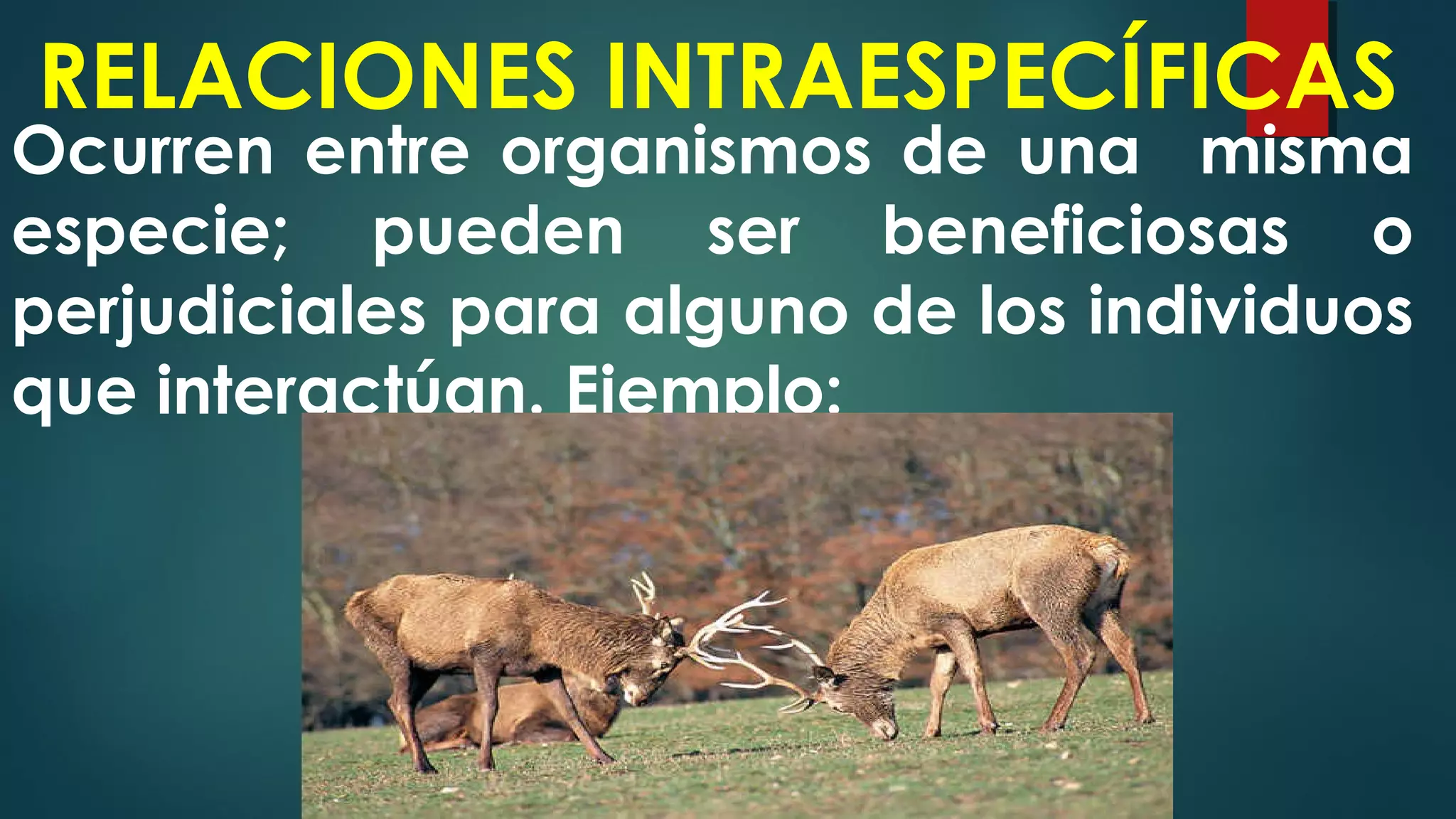 INTERACCIONES ECOLÓGICAS DE LOS SERES VIVOS. LicJ avier Cucaita | PPT