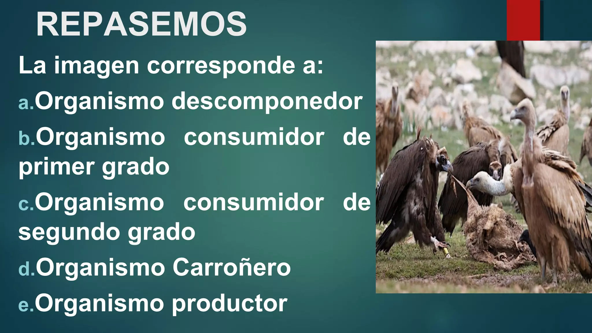 INTERACCIONES ECOLÓGICAS DE LOS SERES VIVOS. LicJ avier Cucaita | PPT
