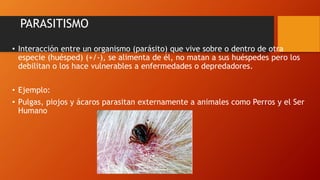 Interacciones biológicas | PPTX
