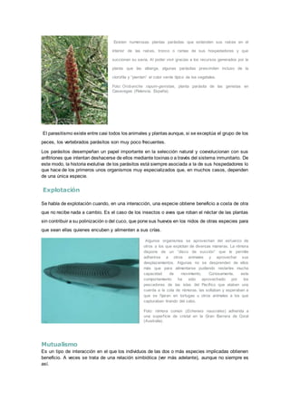 Interacciones biologicas Biodiversidad | DOCX