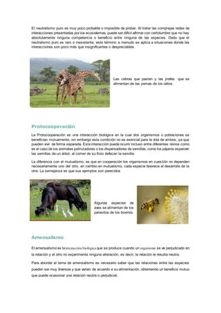 Interacciones biologicas Biodiversidad | DOCX